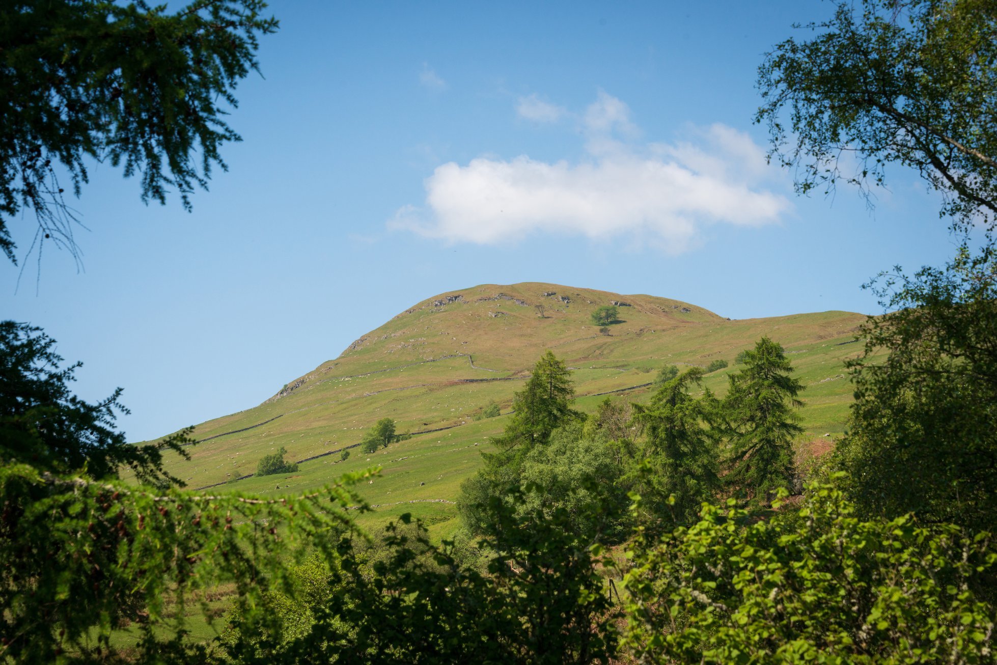 Perth and Kinross Summer Briefing 2024 | Research | Rettie